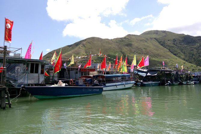 Private Full Day 9-Hour Driving Tour of Lantau from Hong Kong - Who Should Consider This Tour?