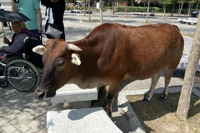 Private Full Day 9-Hour Driving Tour of Lantau from Hong Kong - FAQ