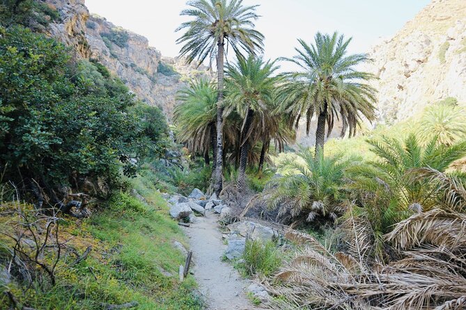 Private Full-Day Adventure: Preveli, Waterfalls & Kalypso Beach - Guest Testimonials: Unforgettable Memories Shared