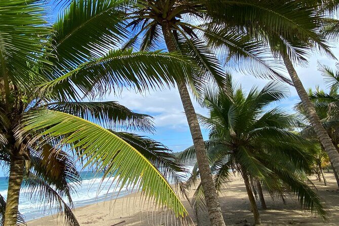 Private Full Day Aguadilla Sightseeing Tour - Who Should Consider This Tour?