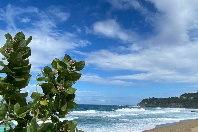 Private Full Day Aguadilla Sightseeing Tour - Frequently Asked Questions