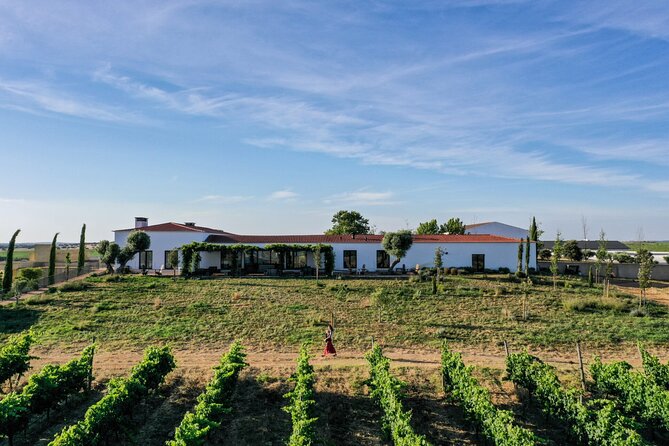 Private Full-Day Alentejo Wine Tour - Key Points