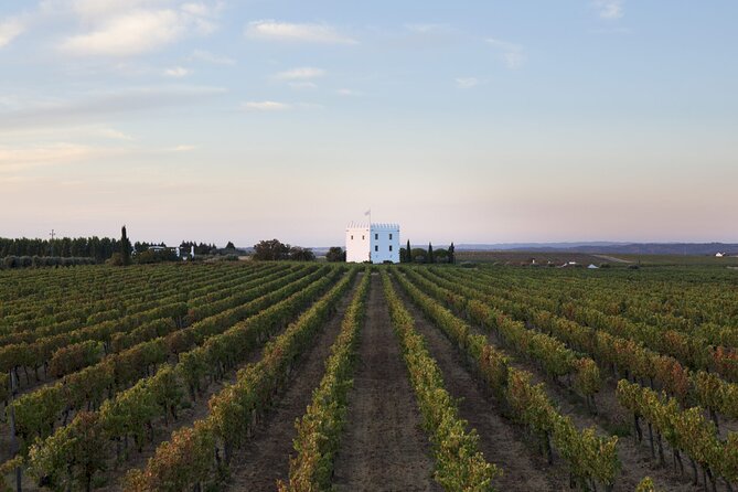 Private Full-Day Alentejo Wine Tour - Why This Tour Is a Good Value