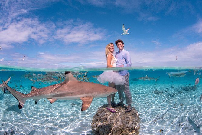 Private Full Day Aquatic Photo Tour + Resort Photo-Shoot (All inclusive) - Introducing the Private Full Day Aquatic Photo Tour in Bora Bora