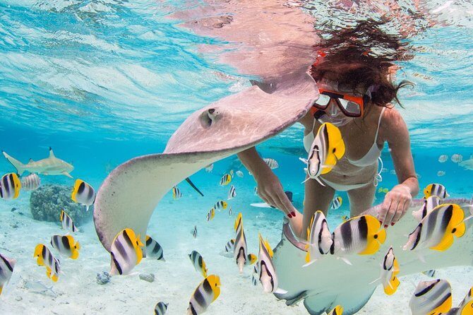 Private Full Day Aquatic Photo Tour + Resort Photo-Shoot (All inclusive) - What You Can Expect from the Bora Bora Aquatic Photo Tour