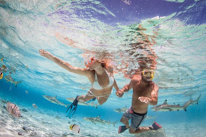 Private Full Day Aquatic Photo Tour + Resort Photo-Shoot (All inclusive) - Who Will Enjoy This Tour?
