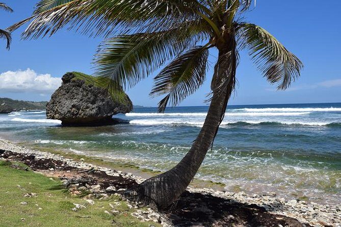 Private Full-Day Barbados Excursion - Real Experiences & Authentic Insights