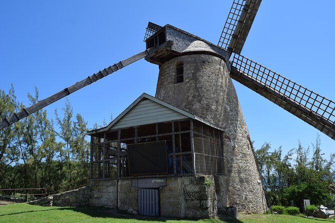 Private Full-Day Barbados Excursion - The Experience: What Youll Really Get