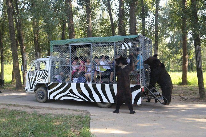 Private Full-Day Beijing Wildlife Park Tour - Why Choose This Tour?