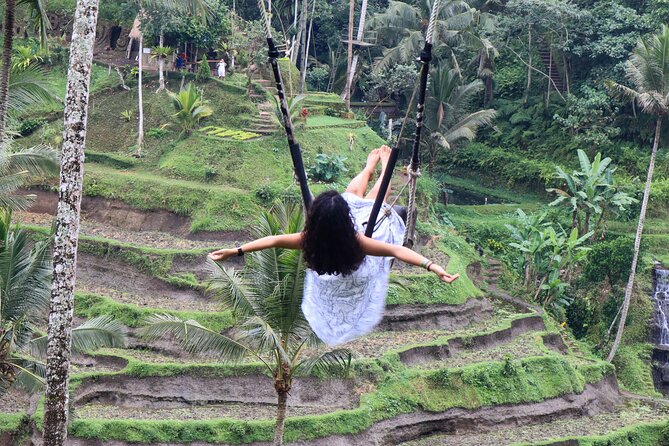 Private Full Day Best of Ubud Tour - Tegallang Rice Terrace: Scenery and Serenity