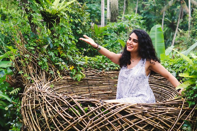 Private Full Day Best of Ubud Tour - Monkey Forest Ubud: Sacred and Playful