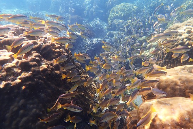 Private Full-Day Blue Dragon Yacht to Angthong National Marine Park - The Sum Up