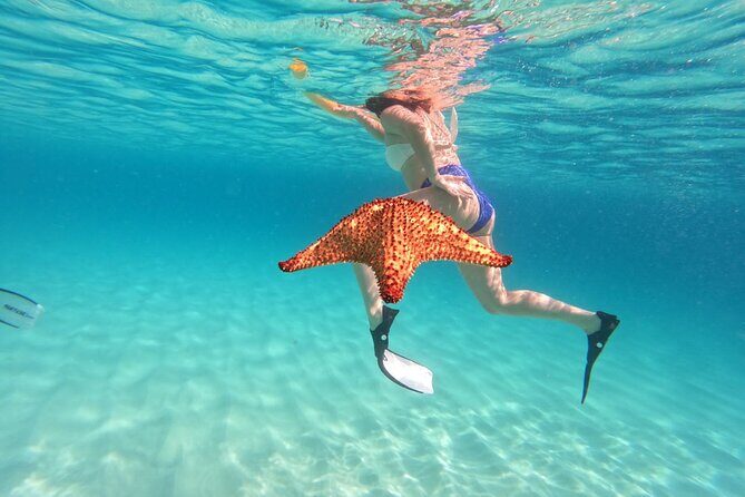 Private Full Day Boat Tour in St-Maarten - FAQ