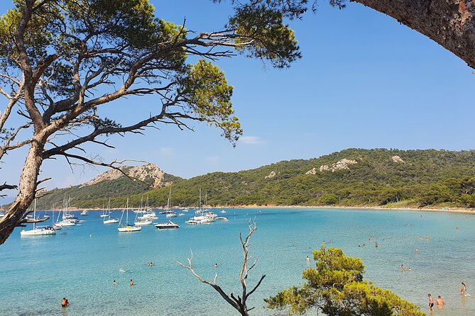 Private Full-Day Boat Trip to Porquerolles - Reviews and Feedback