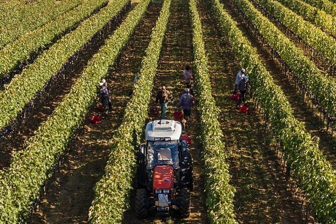 PRIVATE Full-Day Brunello Wine experience from Florence - The Practical Details