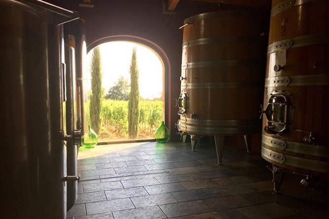 PRIVATE Full-Day Brunello Wine Experience From Florence - Transportation and Logistics