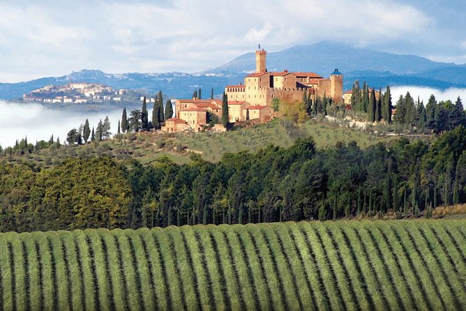 PRIVATE Full-Day Brunello Wine Experience From Florence - Reviews and Booking Information