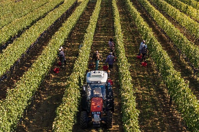 PRIVATE Full-Day Brunello Wine Experience From Florence - Explore Tuscanys Premier Wine Country