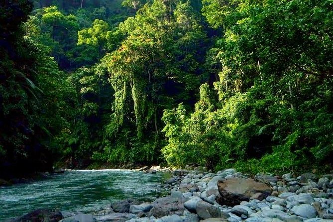 Private Full-Day Bukit Lawang Trekking Tour From Medan - Returning: Flexible and Convenient