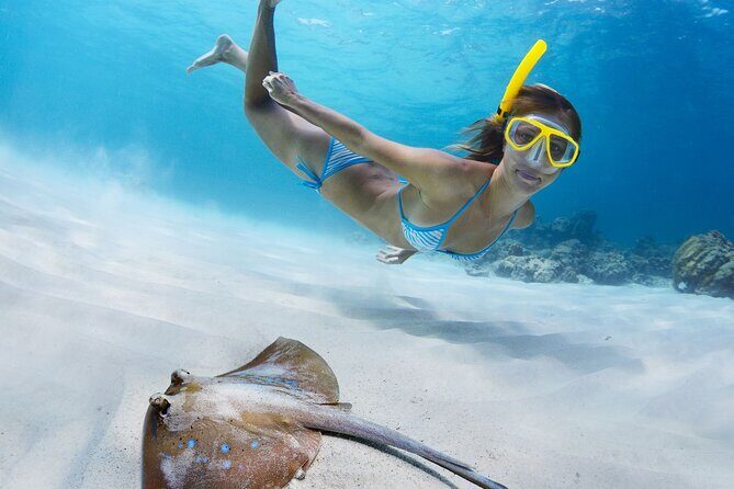 Private Full Day BVI Boat Charter Aboard MV Aquarius - FAQs