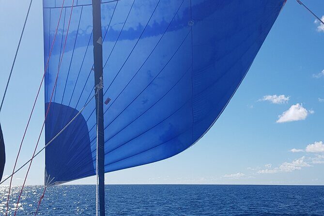 Private Full-Day Catamaran Sailing Charter in St Maarten - The Sum Up: Who Is This Tour Best For?