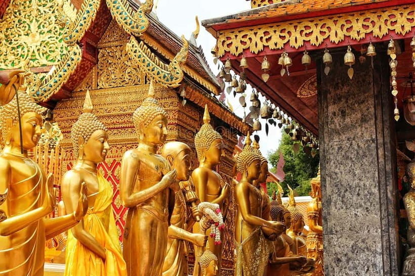 Private Full day Chiang Mai City Tour - Key Points