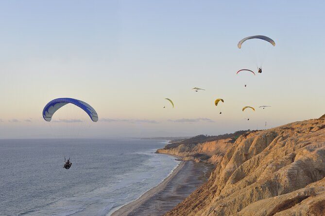 Private Full Day Coastal Tour from San Diego with private driver/guide - What Makes This Tour Stand Out?