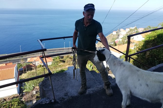 Private Full-Day - Comfort 4x4 Tour - NorthWest - What Makes This Tour Truly Special?