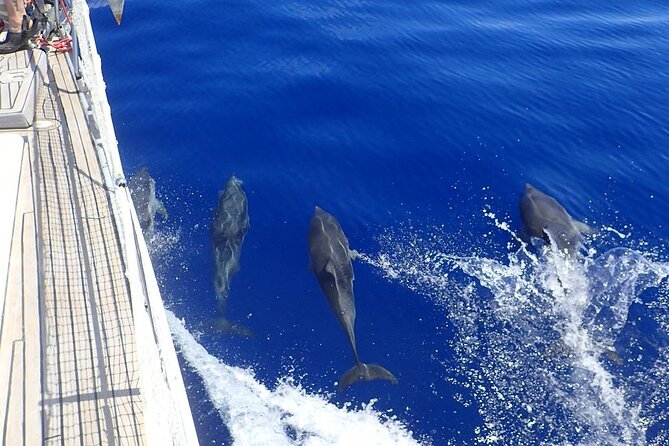 Private Full Day Cruise Tour in Naxos Town - Key Points