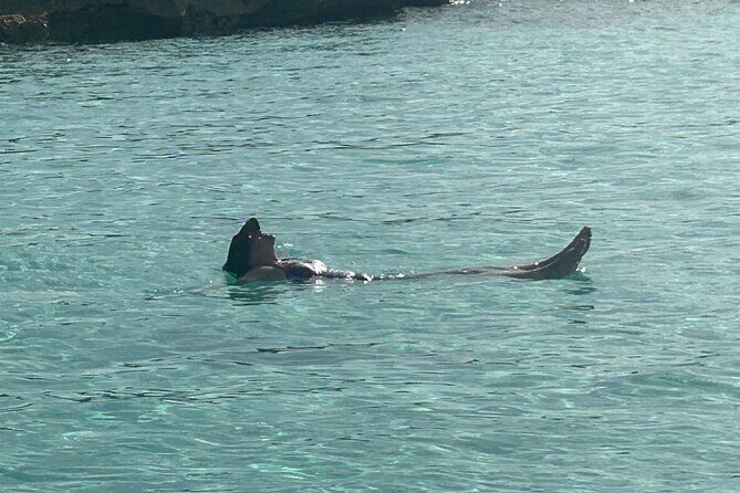 Private Full Day Cruise Tour in Rose Island with Snorkeling - The Itinerary and Key Highlights