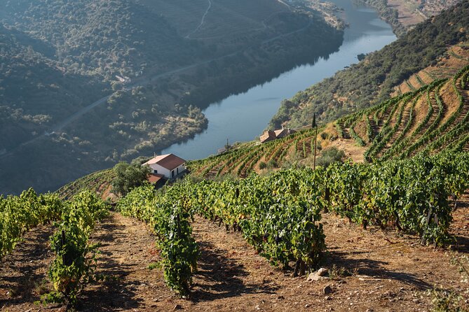 Private Full Day Douro Tour with Lunch - Key Points