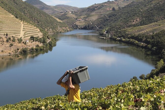 Private Full Day Douro Tour with Lunch - Practical Details for Travelers