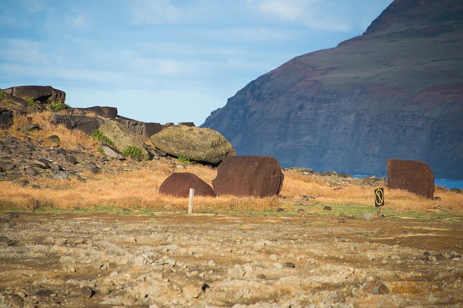 Private Full-Day Easter Island Highlights South and East - Inclusions and Exclusions