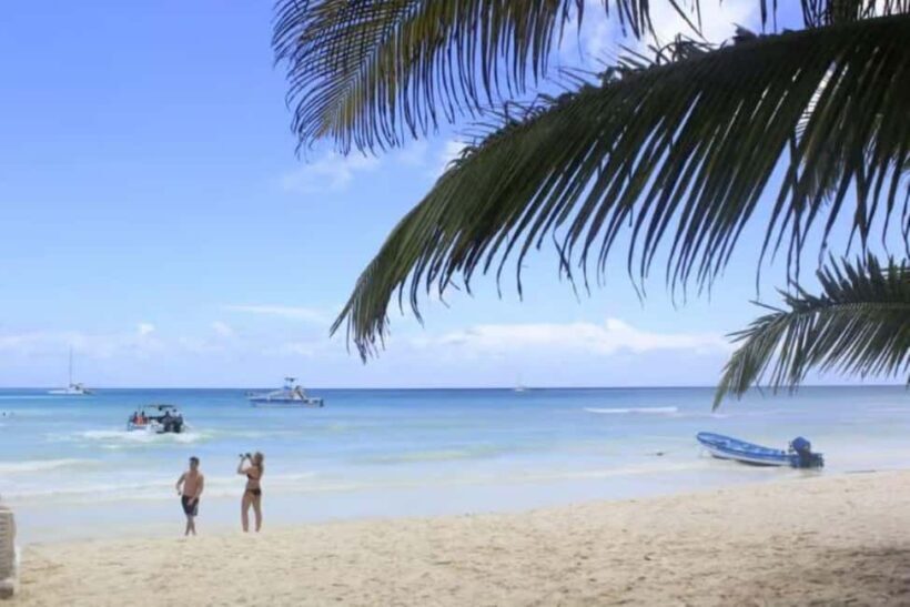 Private: Full-Day Excursion from Chavón & Saona Island - Key Points