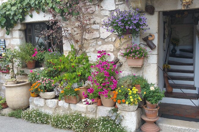 Private Full-day French Riviera and Hilltop Villages Tour - Who Will Love This Tour?