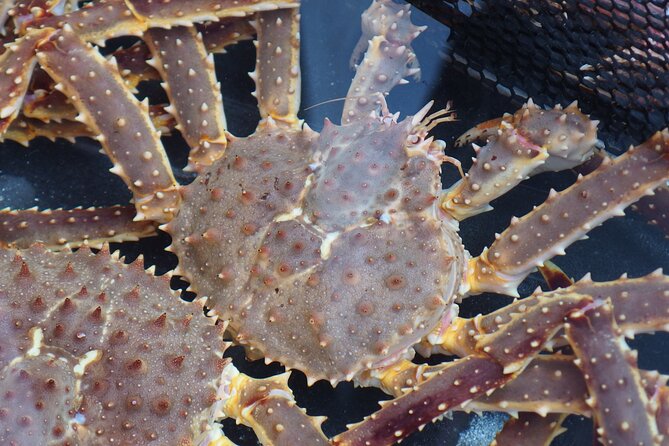 Private Full Day Guided Tour In Hakodate - Hakodate Highlights