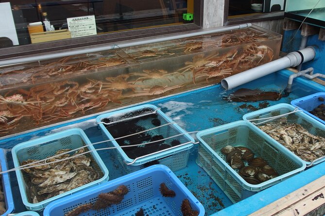 Private Full Day Guided Tour In Hakodate - Explore the City