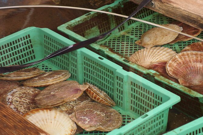 Private Full Day Guided Tour In Hakodate - Common Questions