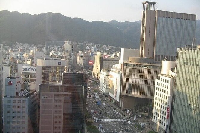 Private Full-Day Guided Tour of Himeji and Kobe - Tour Highlights