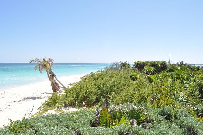Private Full-Day Guided Tulum Coba and Cenote Tour with Lunch - FAQ: Your Questions Answered