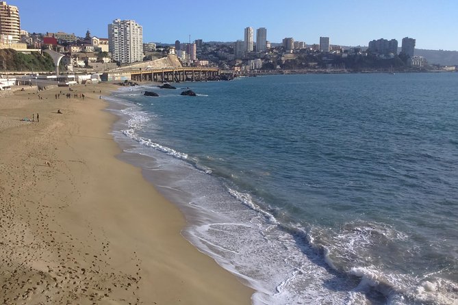 Private Full-Day Guided Valparaiso and Vina Del Mar Tour From Santiago - Tour Overview