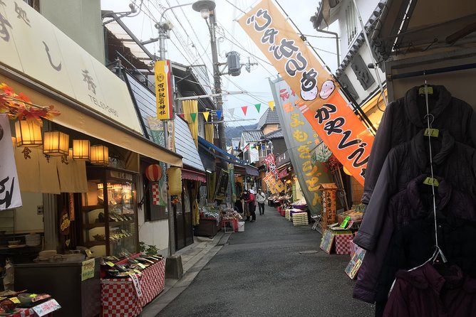 Private Full-Day Japanese Mountain Guided Tour: Ikoma - What to Expect