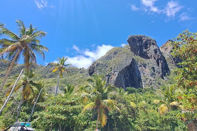 Private Full-Day Jungle to Shoreline Hiking Tour of Las Galeras - The Experience: An Honest Look