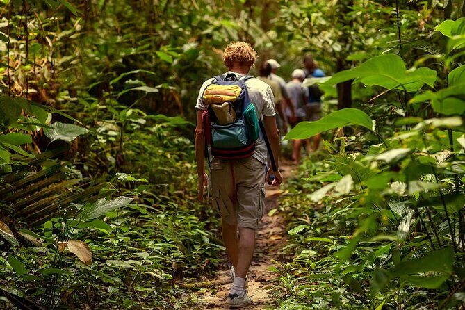 Private Full-Day Jungle to Shoreline Hiking Tour of Las Galeras - Why This Tour Offers Real Value