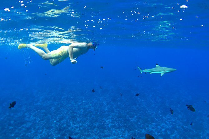 PRIVATE FULL DAY LAGOON TOUR - Bora Bora Cultural Lagoon Tour - Who Will Love This Tour?