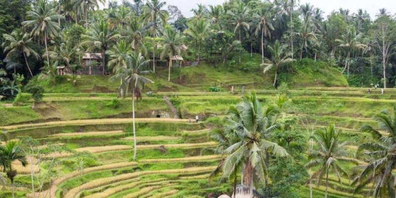 Private Full-Day Lempuyang Gate of Heaven Tour - FAQ