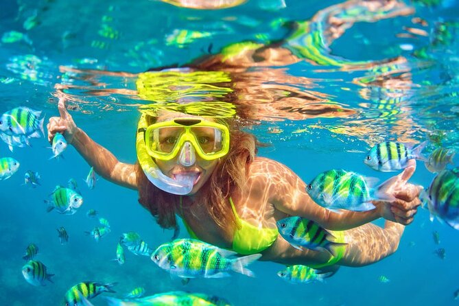 Private Full-Day Lovina Dolphin Watching and Snorkeling Boat Tour - The Value and Who It’s Best For