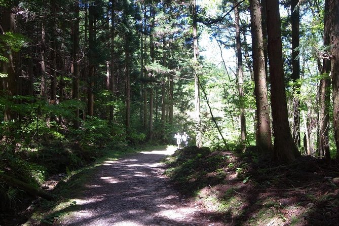 Private Full Day Magome &Tsumago Walking Tour From Nagoya - Health and Safety Information