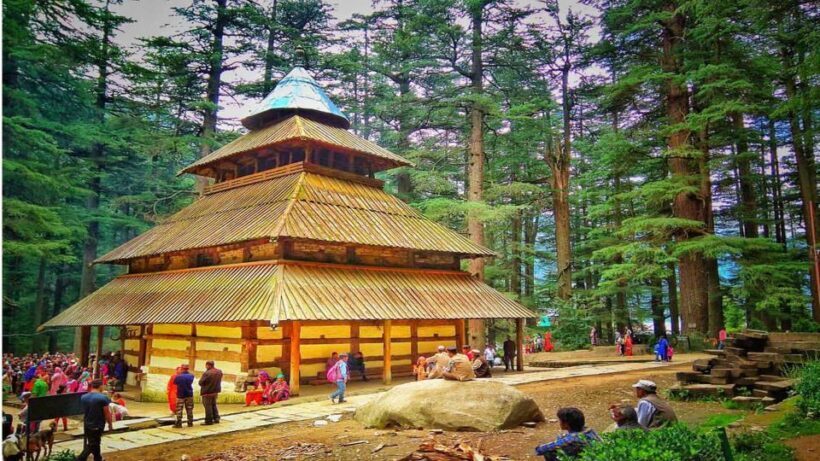 Private Full day Manali City Tour - Authentic Experiences and Traveler Feedback
