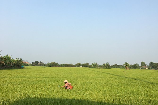 Private Full-day Mekong Tour From Ho Chi Minh City, Including River Cruise - The Itinerary – What You Can Expect